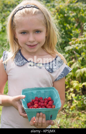 Child blond adorable girl picking fresh berries on blueberry field in ...