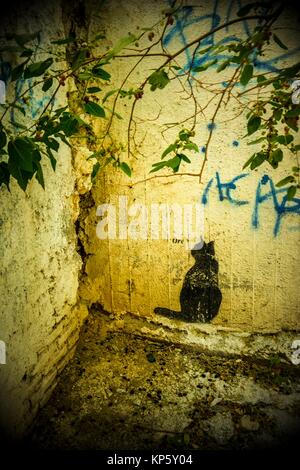 Cat in the Plaka District, Athens City Center, Greece Stock Photo - Alamy