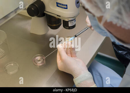 Embryo transfer, Medically Assisted Procreation Laboratory, (CECOS ...