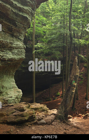 Sandstone cliffs along the Hemlock Bridge Trail, Hocking Hills State ...