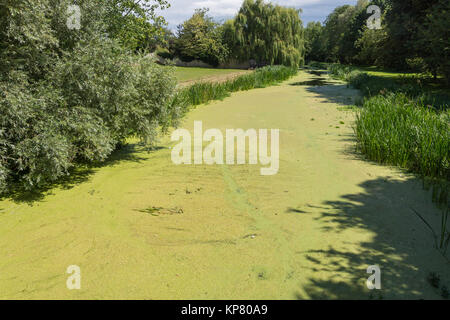 The River Great Ouse at Olney Bridge Stock Photo - Alamy