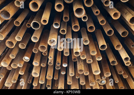 Cutting bamboo, cross section of bamboo Stock Photo - Alamy