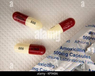 Colour-coded capsules of anti-biotic medicine AMOXICILLIN 500mg and ...