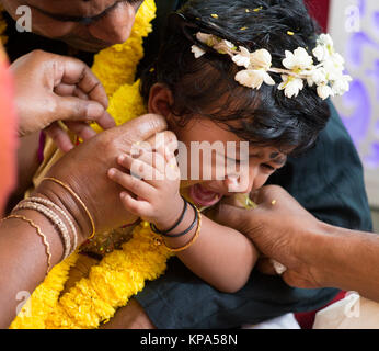Traditional Indian Hindu family ear piercing ceremony Stock Photo - Alamy