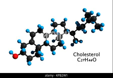 Cholesterol molecule lipid organic 3D render chemical structure Stock ...