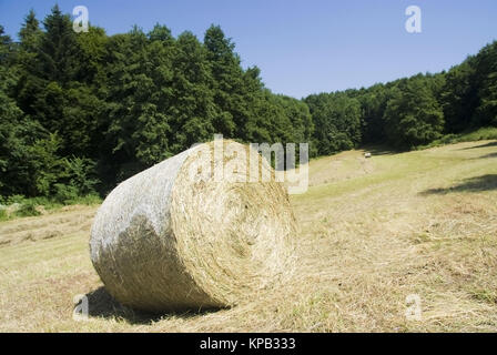 Heuernte, Hay harvest Stock Photo - Alamy