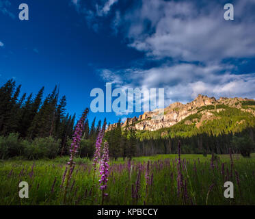Pinnacle ridge San Juan range near Ouray Colorado Stock Photo - Alamy