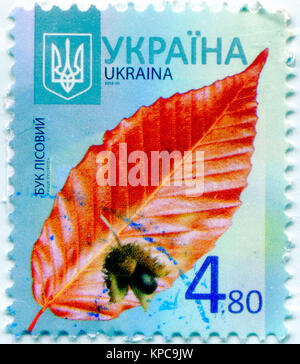 A series of "Flora of Ukraine”. Postage stamp shows the image of Sorbus ...