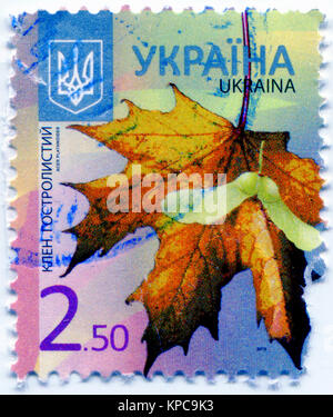 A series of "Flora of Ukraine”. Postage stamp shows the image of Sorbus ...