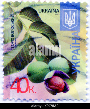 A series of "Flora of Ukraine”. Postage stamp shows the image of Sorbus ...