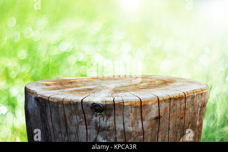 Empty tree trunk for display montages Stock Photo - Alamy