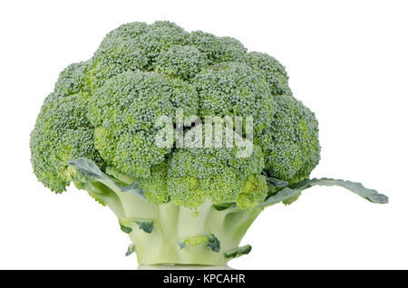 Side view of single fresh broccoli isolated on white background Stock ...