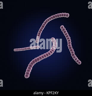 Microscopic view of streptococcus Stock Photo - Alamy