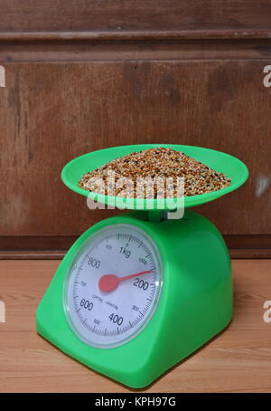 bird food on green weighing scale tray Stock Photo - Alamy