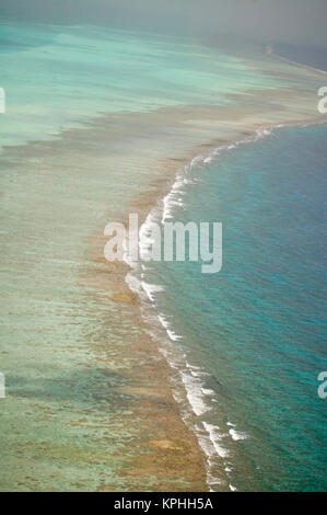 Coral reef, Lighthouse Reef, Atoll, Belize Stock Photo - Alamy