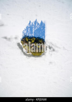 Aerial view of frozen islet and snowy woods in the icy Lake Sils ...