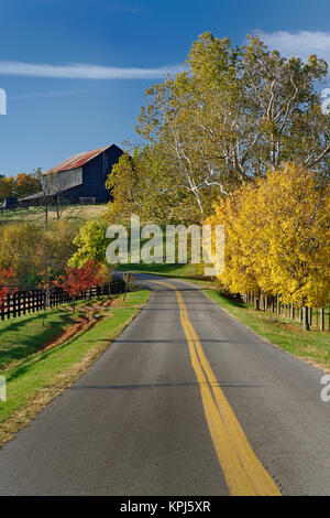 Rural road through Bluegrass region of Kentucky in autumn season near ...