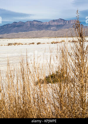 Salt Flat, Texas - Salt flats near Guadalupe Mountains National Park ...