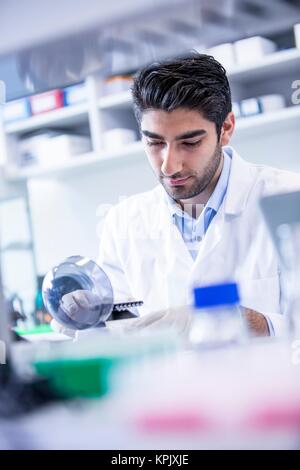 Male laboratory assistant using mini centrifuge Stock Photo - Alamy