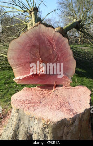 tree drop snag tear down clearing sawed off lumberjack blown off trunk ...