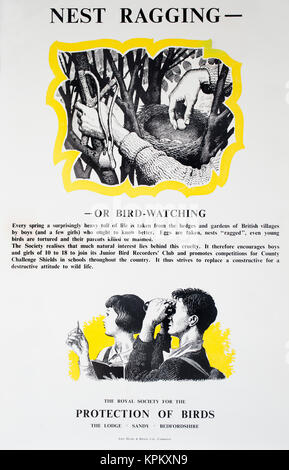 1960s RSPB Charles Tunnicliffe information poster advertising financial ...