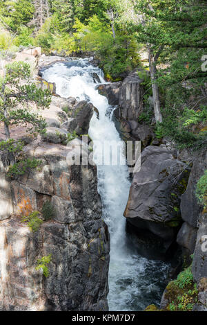 Shell Falls Bighorn Mountain Wyoming Sehenswuerdigkeit Sight Sights ...