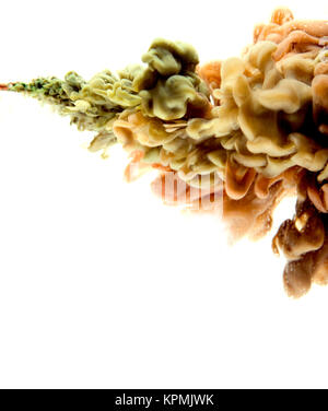 Watercolor paint green design shapes set isolated on white background ...