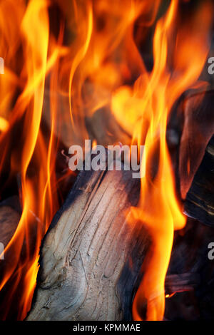 garden fire conflagration flame grill barbecue barbeque steak gardens ...