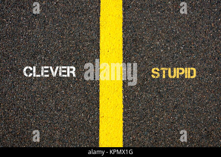 Antonym concept of CLEVER versus STUPID written over tarmac, road ...