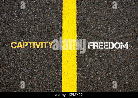 Antonym concept of CAPTIVITY versus FREEDOM written over tarmac, road ...