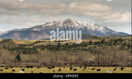 Road to John Day Oregon Cattle Ranch Canyon Mountain Stock Photo - Alamy