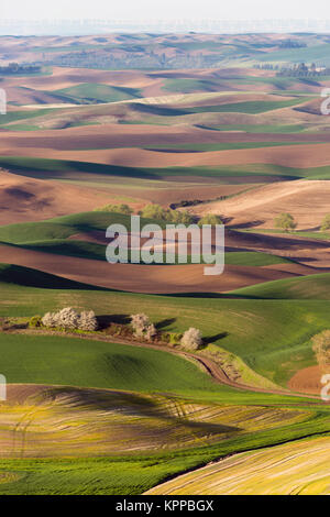 food, aliment, agricultural, environment, enviroment, agriculture ...