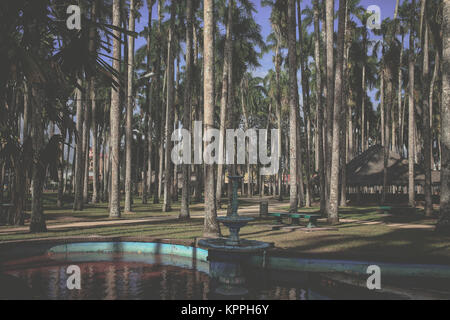 Palmentuin (Palm garden), Paramaribo, Suriname Stock Photo - Alamy