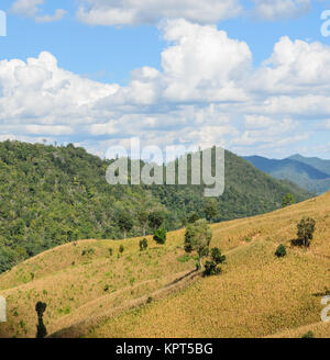 Dried corn terrace field in Thailand Stock Photo - Alamy