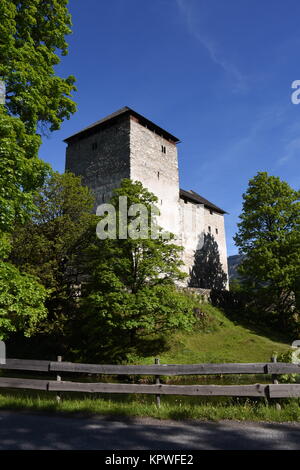 Kaprun,Kaprun Castle,Castle,Castle,Burgfried,Castle Wall,Tower,Moat ...