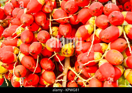 Palm nuts, Ghana Stock Photo - Alamy