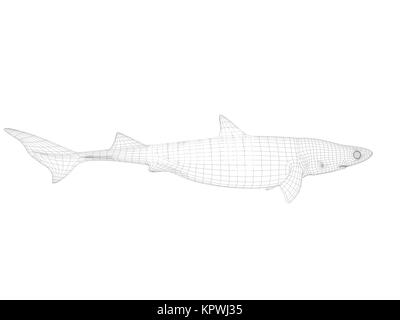 3d wireframe shark Stock Photo - Alamy