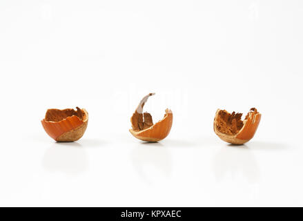open, empty nutshell Stock Photo: 39541427 - Alamy