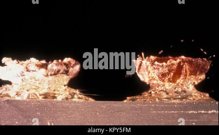 A chickenpox scab (left), and smallpox scab (right), viewed from above ...