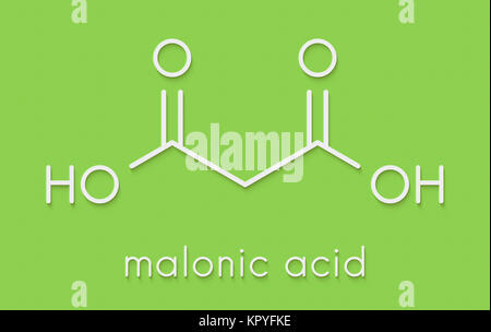 Malonic acid, dicarboxylic, propanedioic acid molecule. The ionized ...