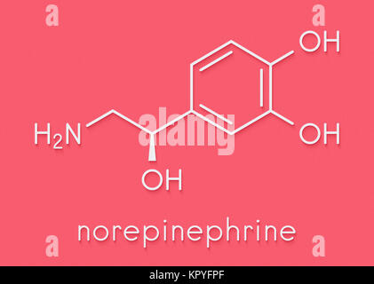 Norepinephrine (noradrenaline, norepi) hormone and neurotransmitter ...