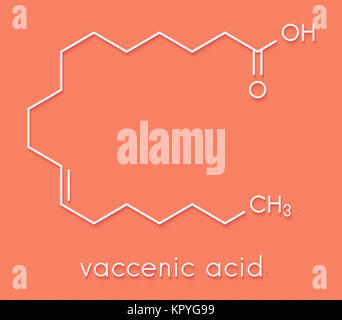 Vaccenic acid molecule. Trans fatty acid, present in animal fat and ...