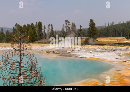 Wall Pool, Yellowstone National Park, Wyoming, USA Stock Photo - Alamy