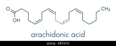 Arachidonic acid, AA, ARA molecule. It is unsaturated omega-6 fatty ...
