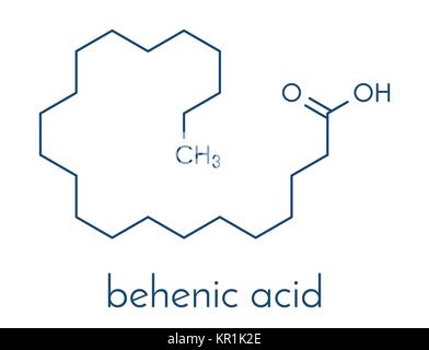 Behenic acid (docosanoic acid) saturated fatty acid molecule. Skeletal ...
