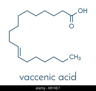 Vaccenic acid molecule. Trans fatty acid, present in animal fat and ...
