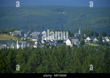 Thueringen Thuringia Thueringer Wald Wood Rennsteig Stock Photo - Alamy