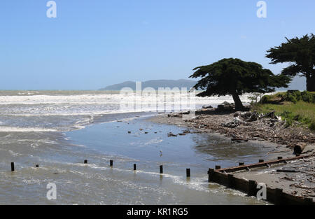 Raumati Beach on the Kapiti Coast of New Zealand on a fine winters day ...