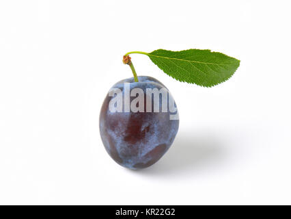 One ripe organic Damson plum, close-up, isolated on white Stock Photo ...