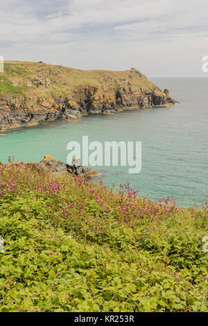 Housel Bay close to Lizard Point, Cornwall, UK Stock Photo - Alamy